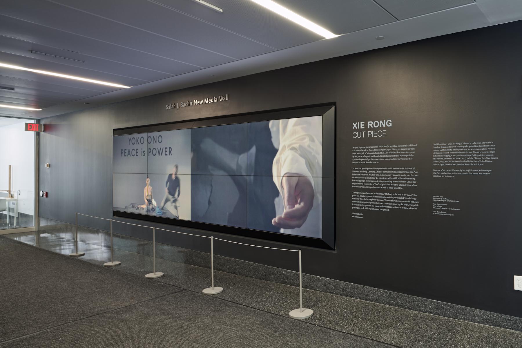 Xie Rong | The Image Centre