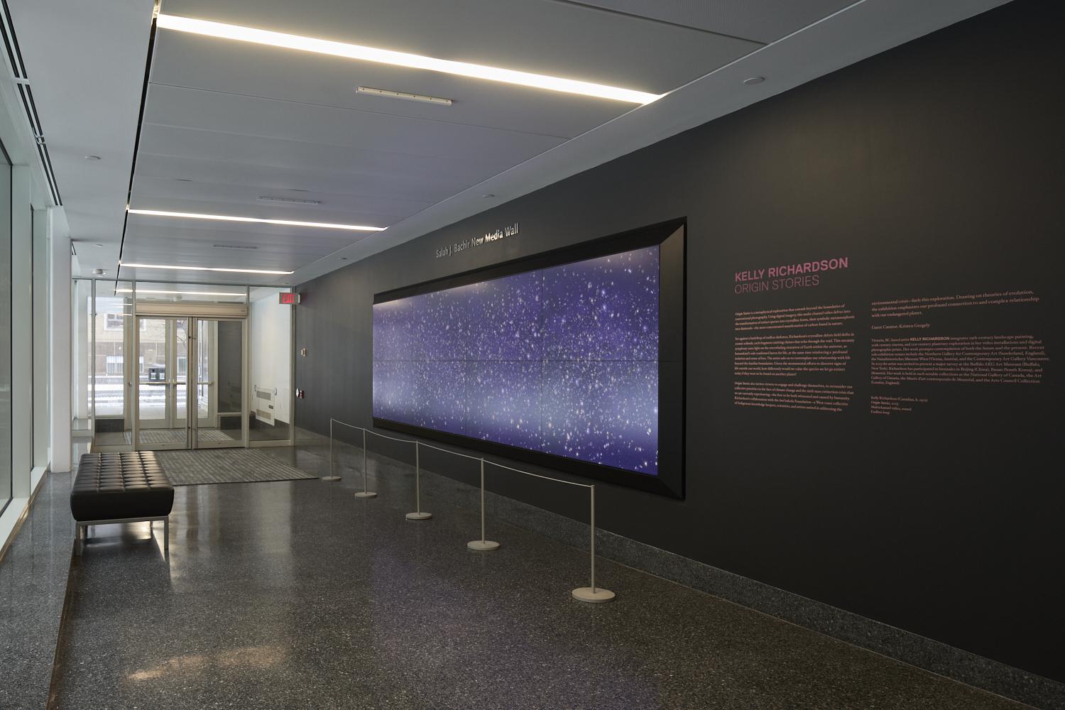 Kelly Richardson: Origin Stories | The Image Centre