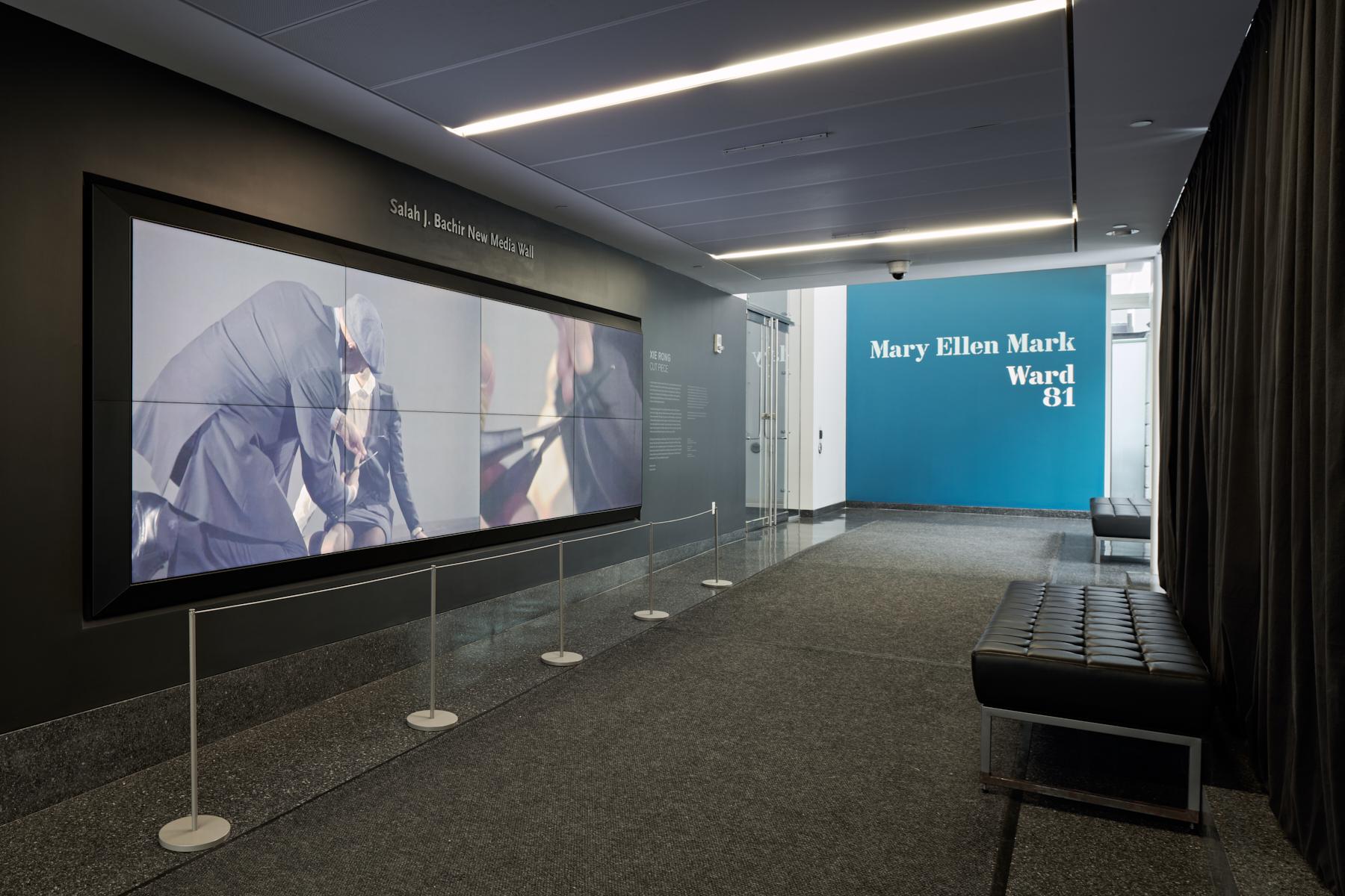 Xie Rong | The Image Centre