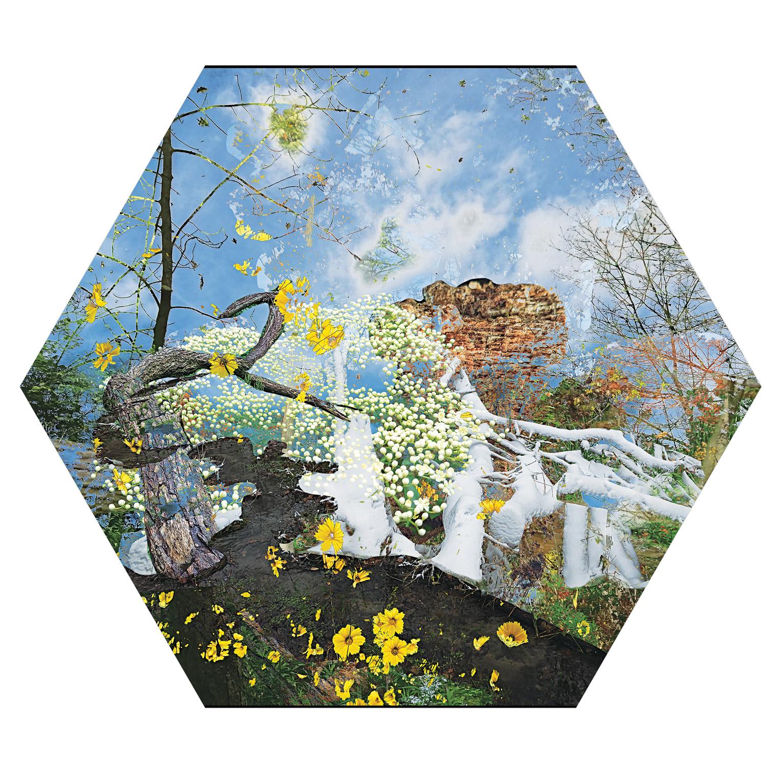 Nytha Oronga: What If We Walked Like Birds Fly | The Image Centre