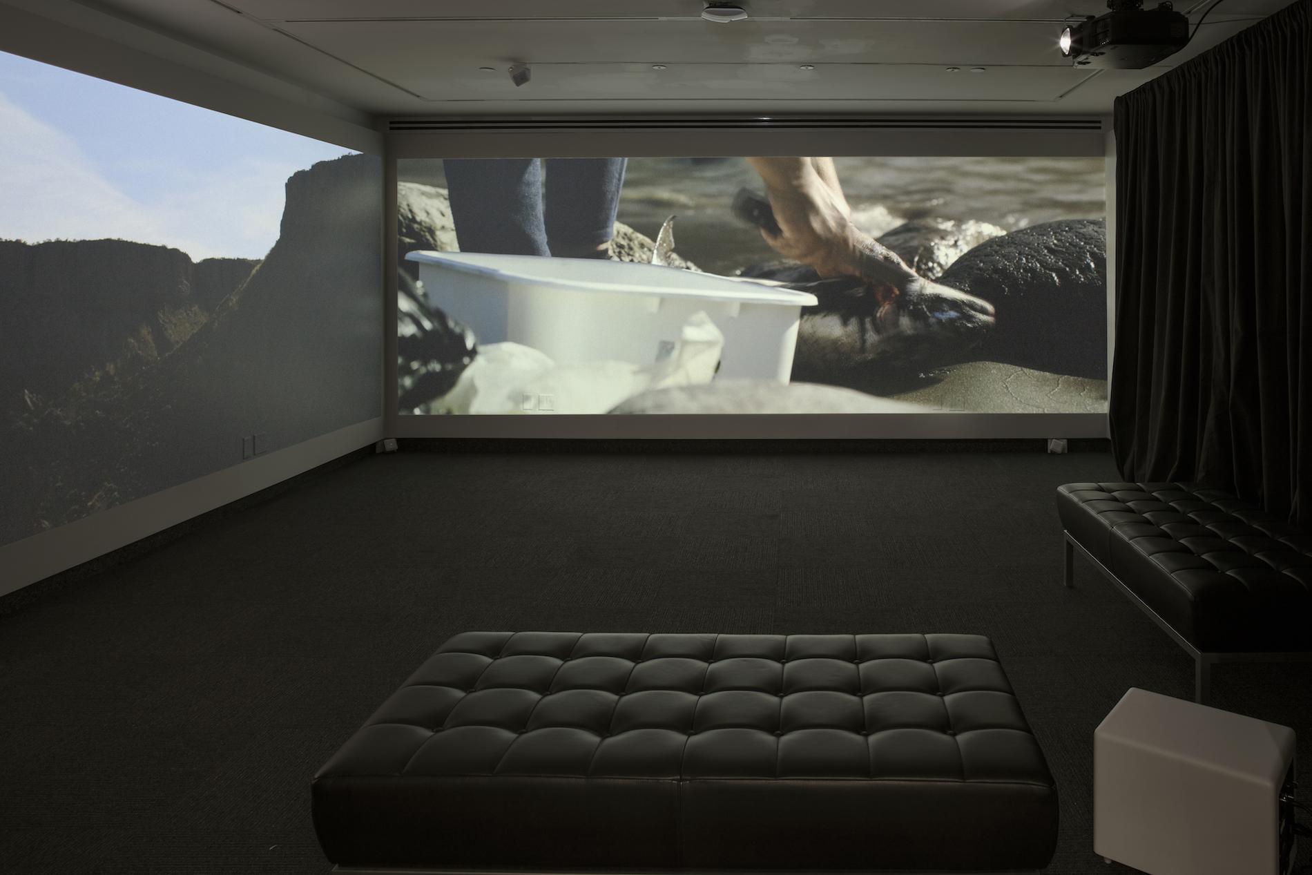 Sean Stiller: Cyéwmen | The Image Centre