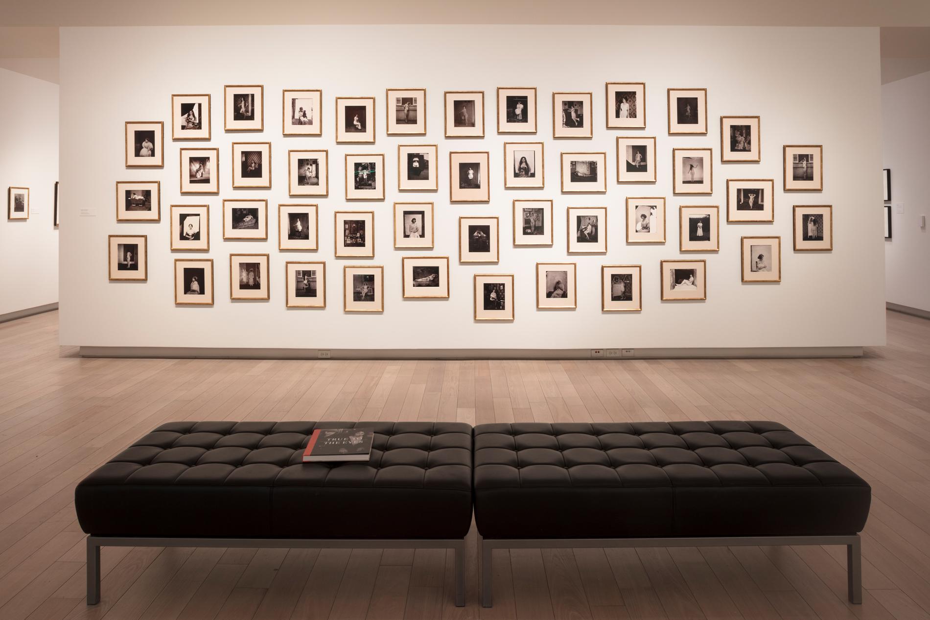 True to the Eyes: The Howard and Carole Tanenbaum Photography ...